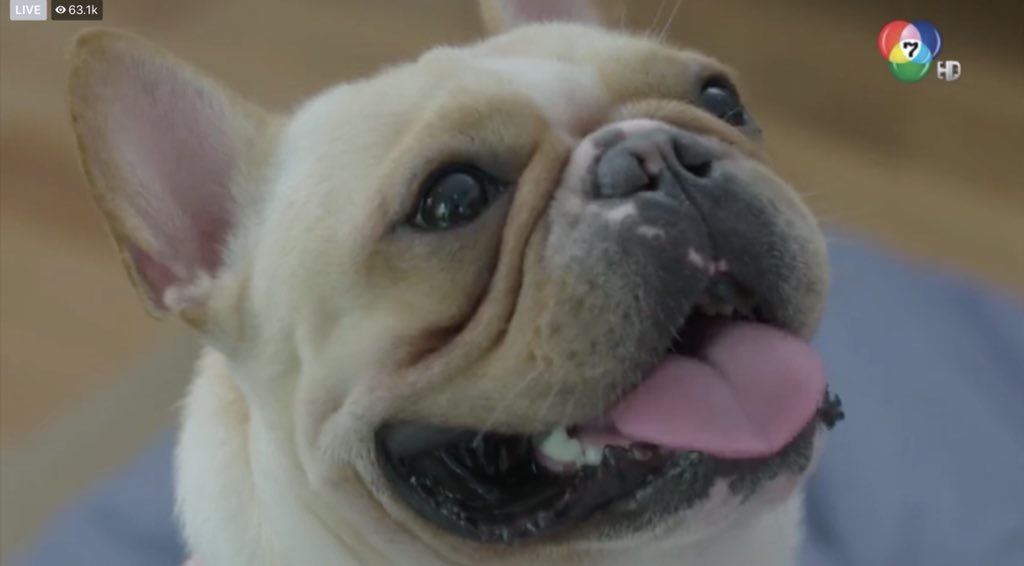 Jane Sudawan (@JaneSudawan) | Twitter