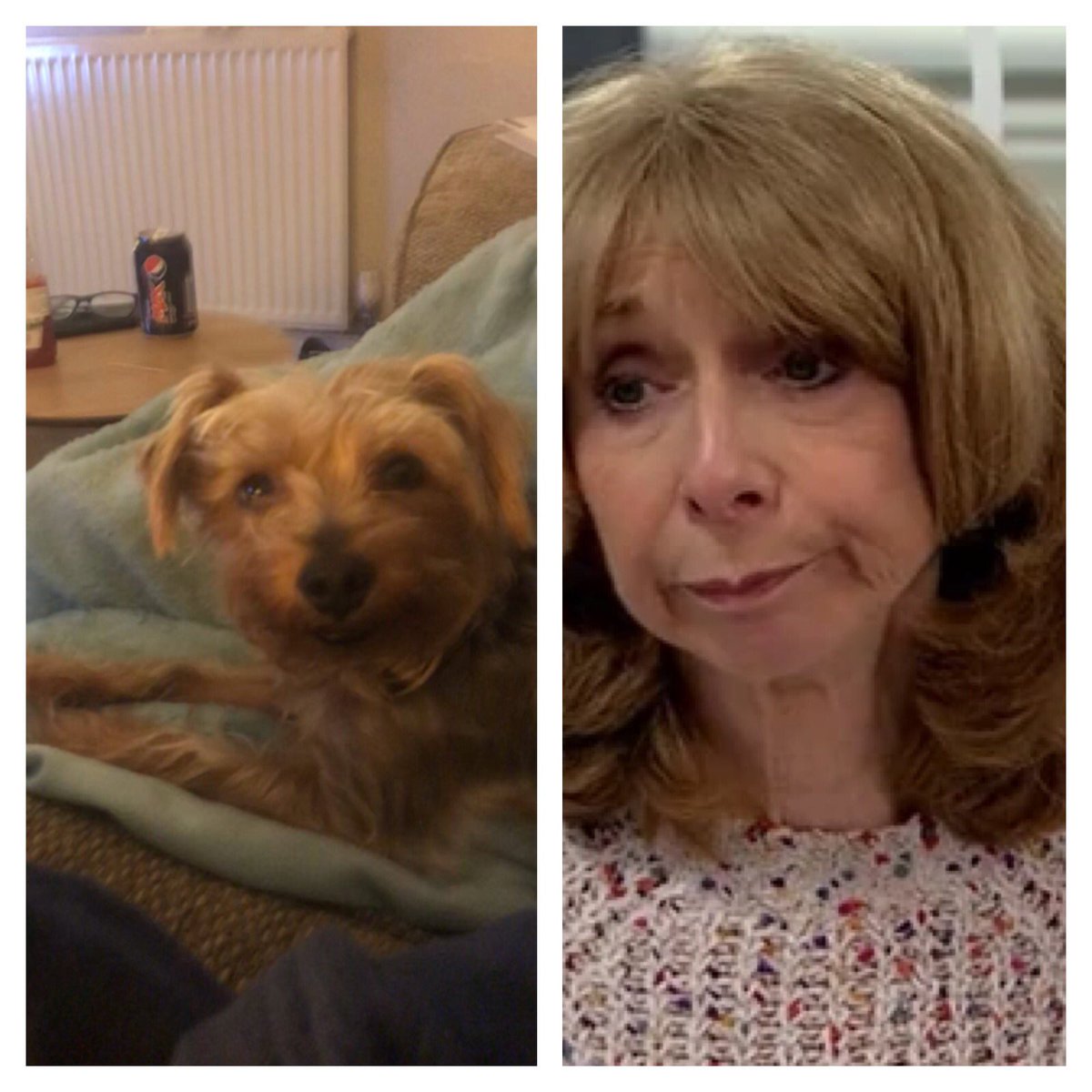 Gail Platt Memes Gail Platt
