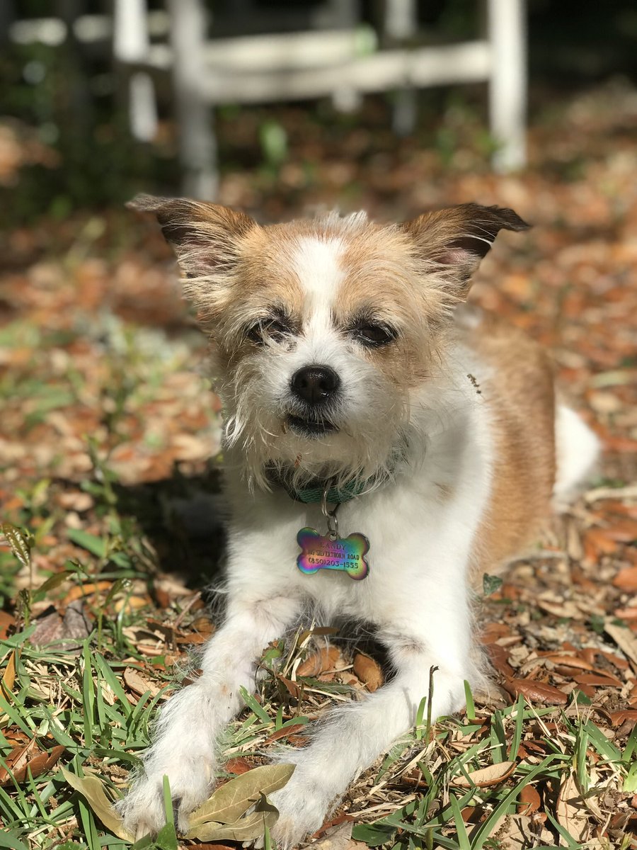 Camkittys Little More Info