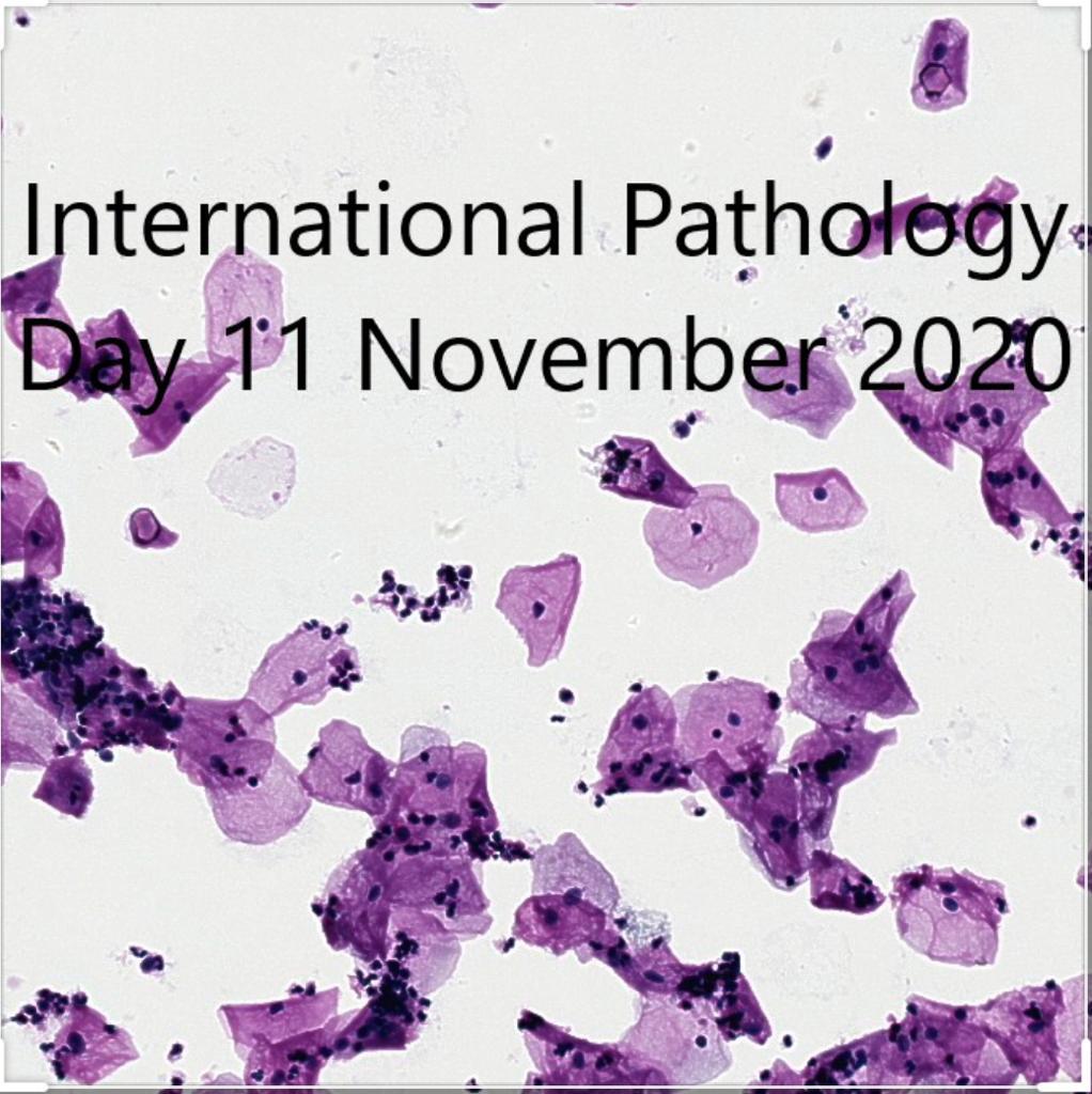 Pathology Inspirational Quotes Hill Harper Quote: All Work And No Play