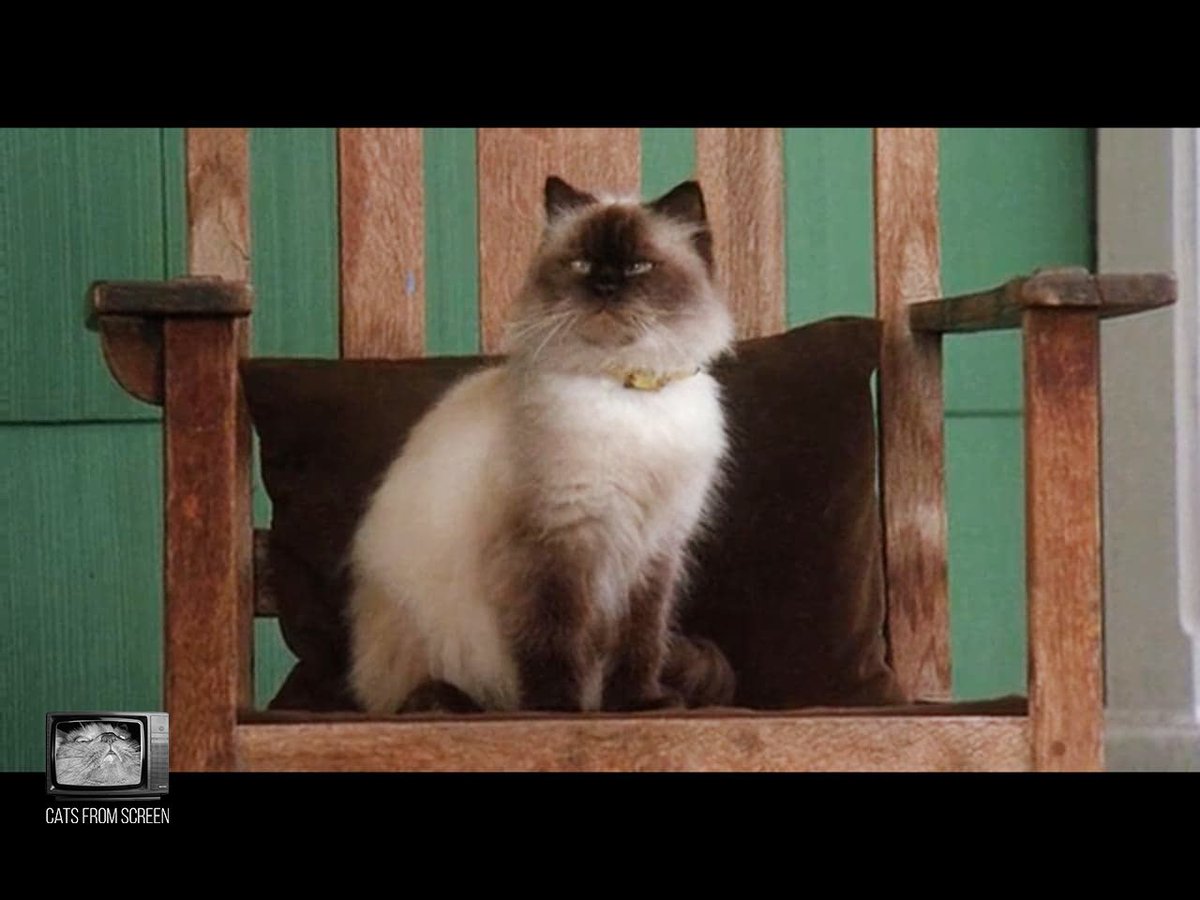 Homeward Bound Sassy