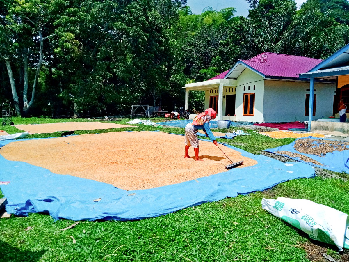 GODOKGODOK (@tohap_sinaga) | Twitter