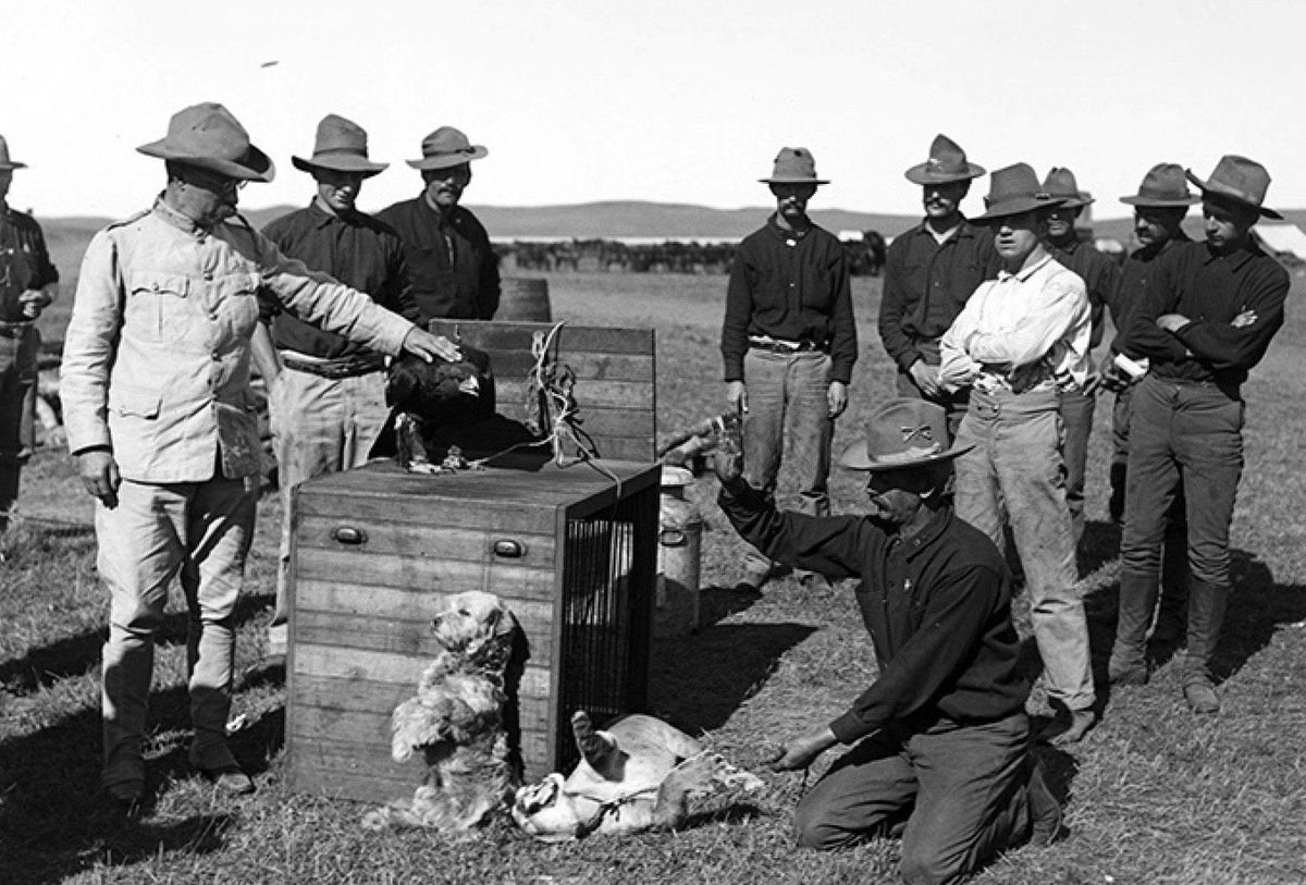 Theodore Roosevelt In The Spanish American War