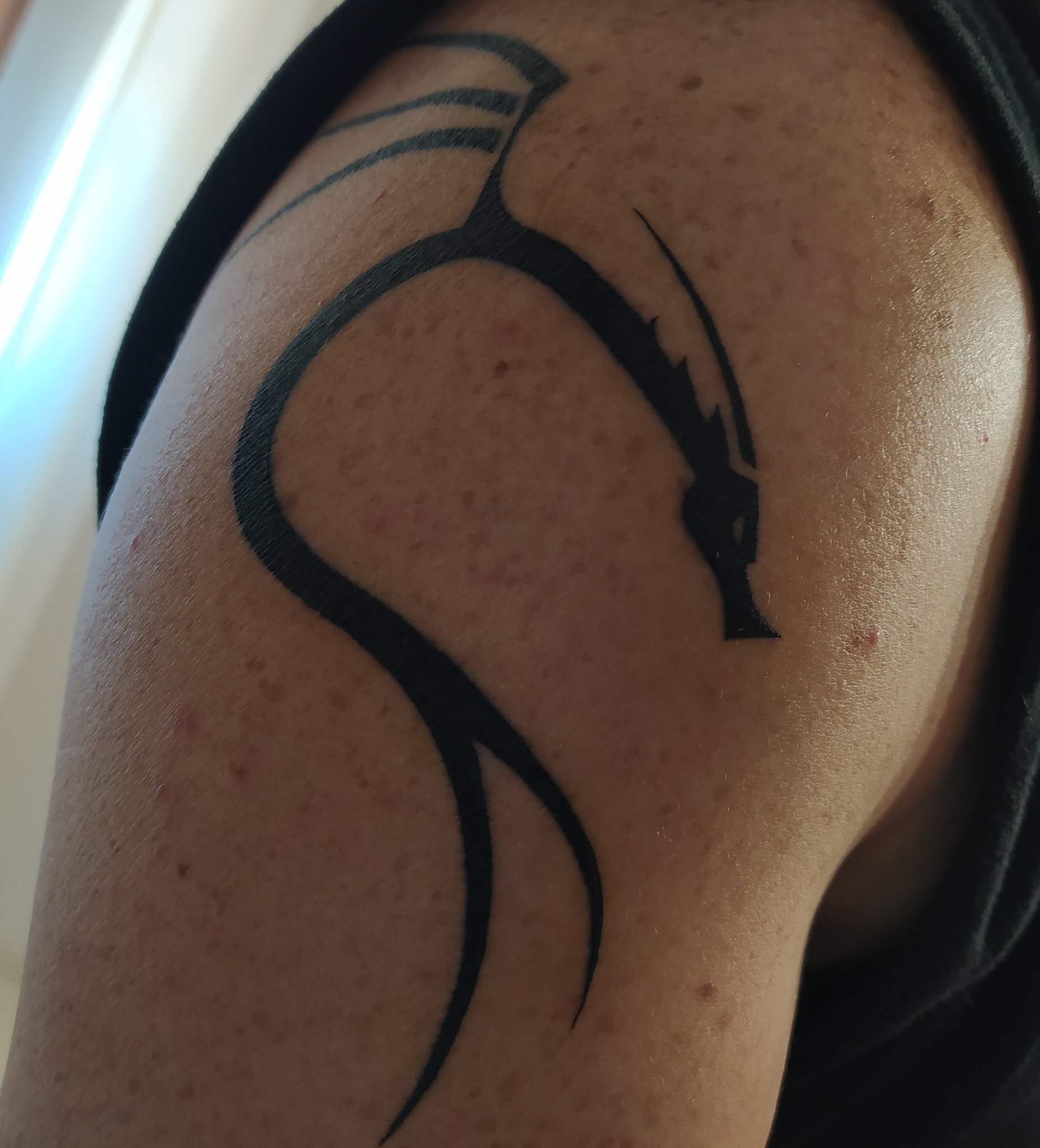 Kali Linux Tattoos Kali Linux Abstract Colors' Men's T Shirt