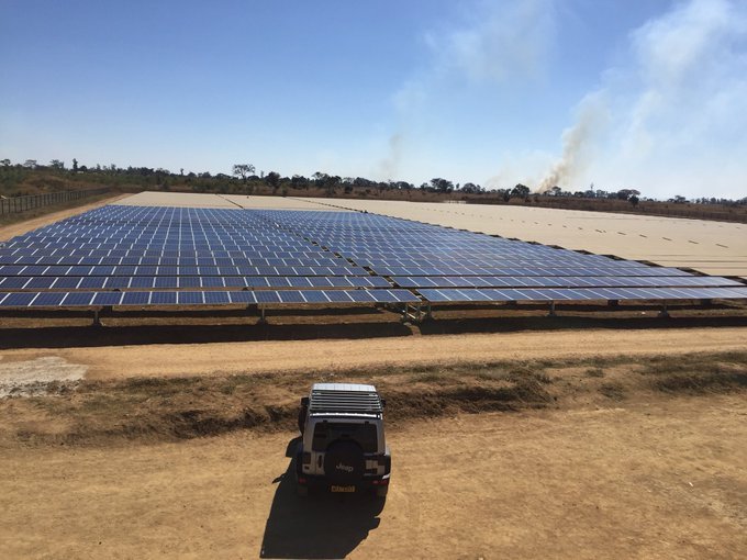 Zim Local @zimlocals Timeline, The Visualized Twitter (Analytics)