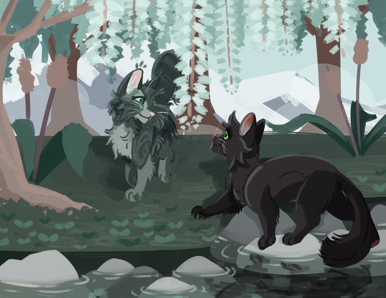 Warrior Cats Willowshine