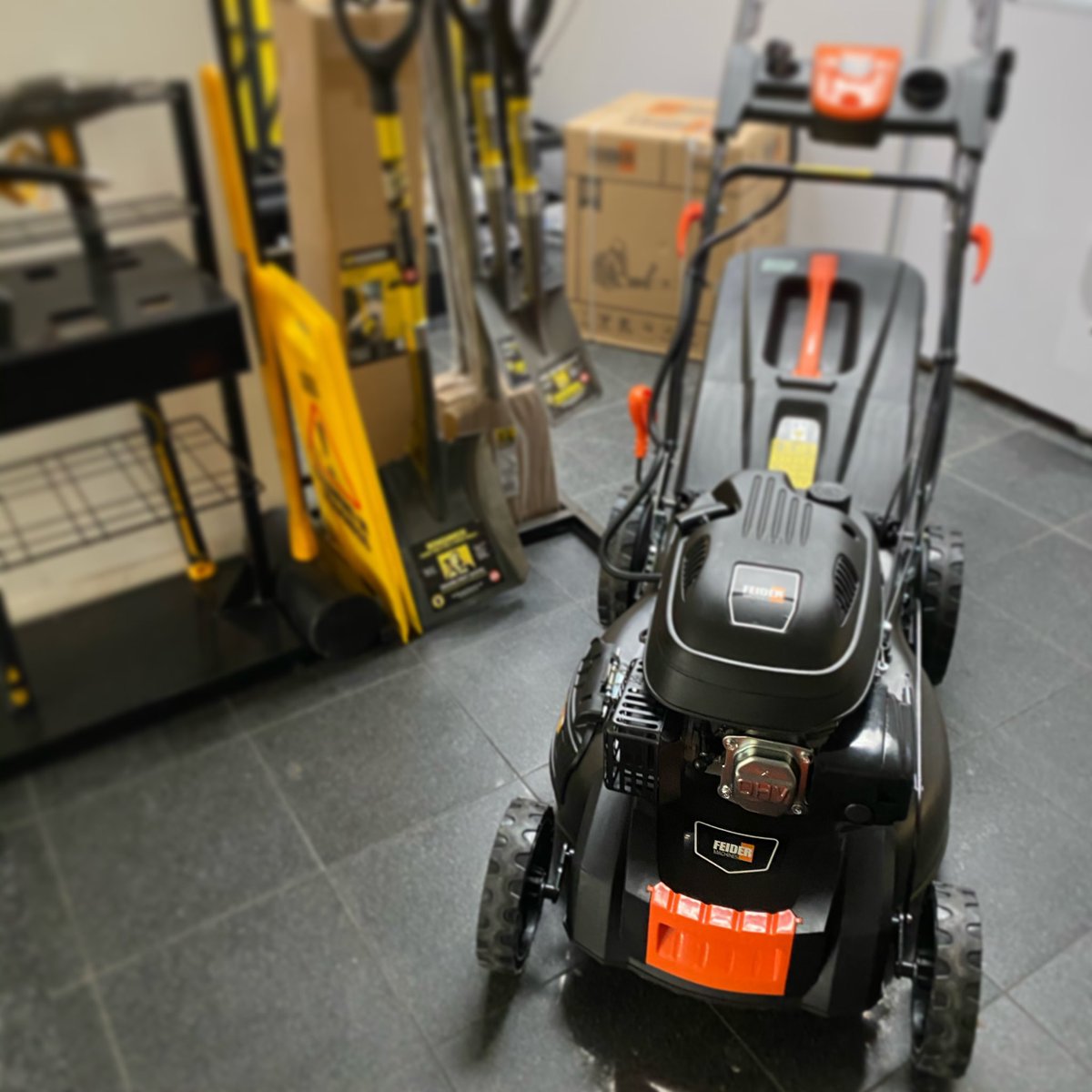 Feider Fst212 Petrol Lawn Scarifier | ppgbbe.intranet.biologia.ufrj.br