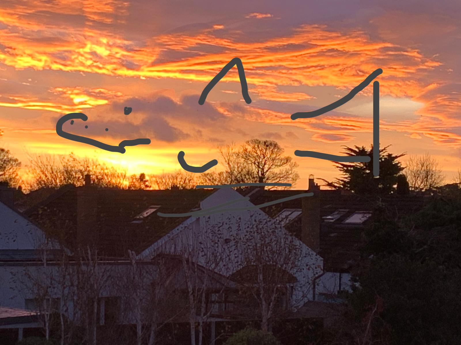 Ian Macdougald on Twitter: "Did you not see the shark?!…