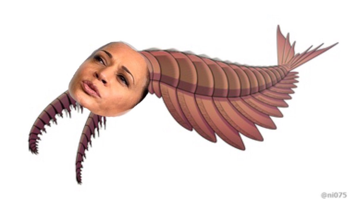 Eel Splatterson (@Leowyn) さんのイラスト・マンガ作品まとめ (1 件) - Twoucan