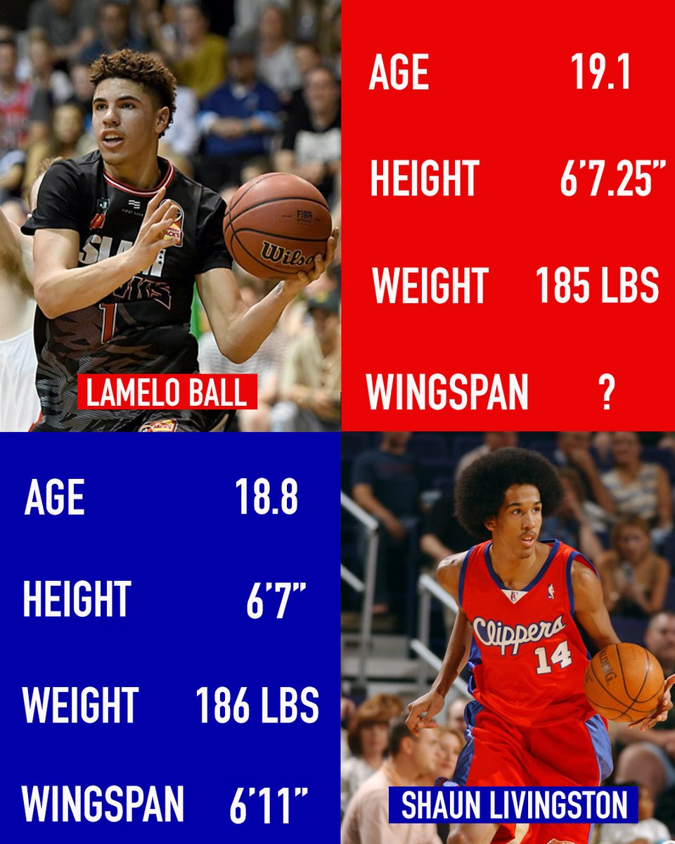 Lamelo ball wingspan store