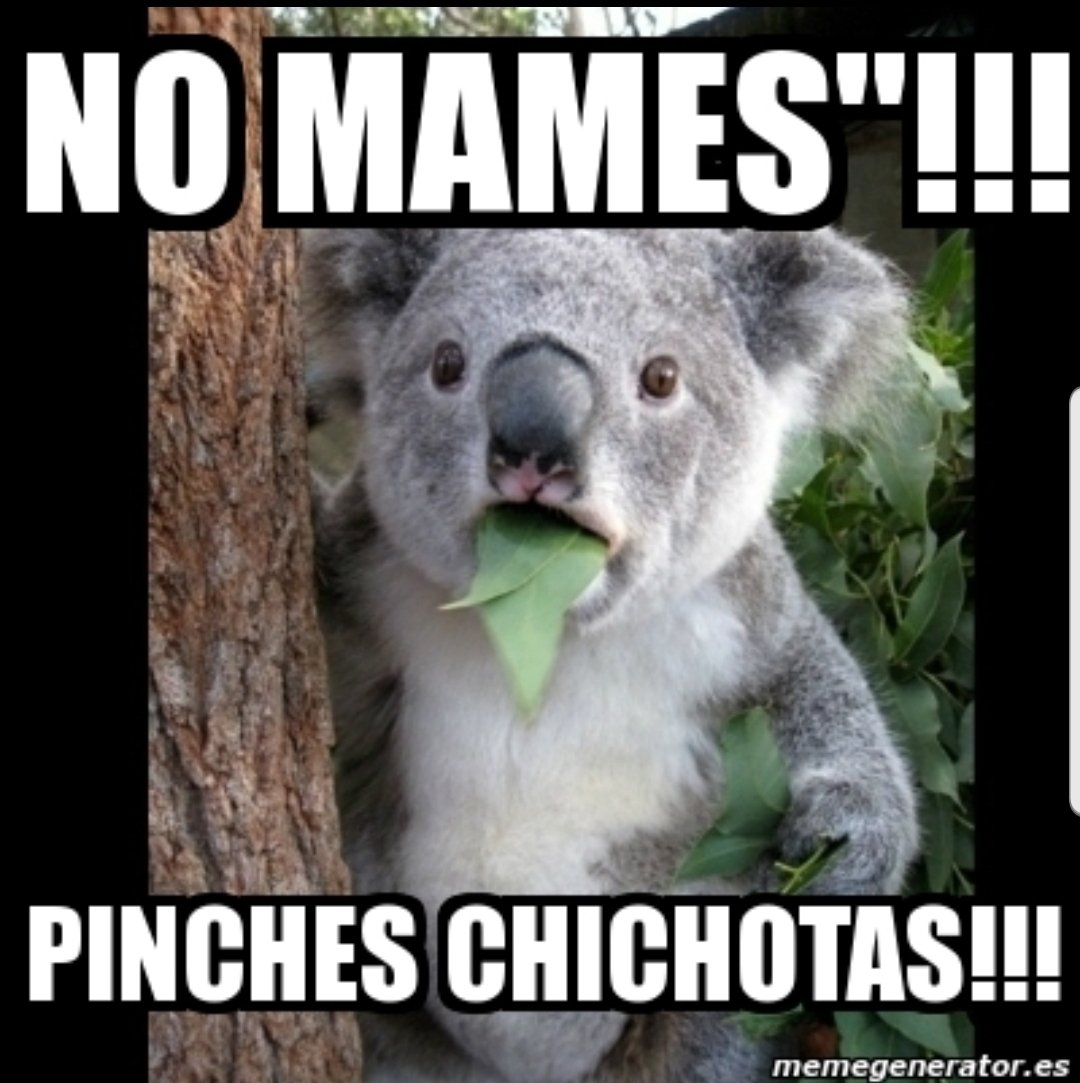 Pinches Chichotas