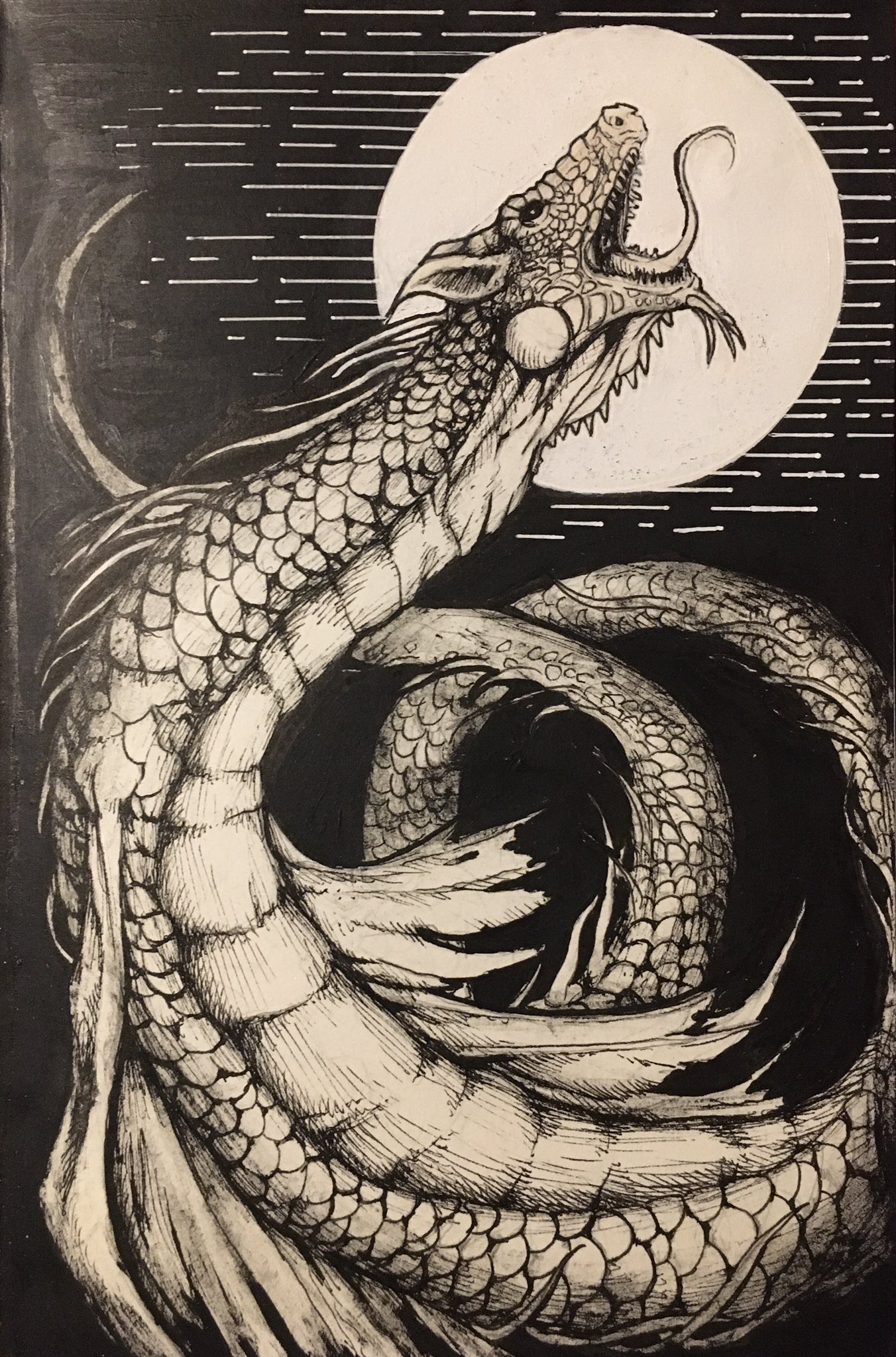 Serpent Dragon Drawing