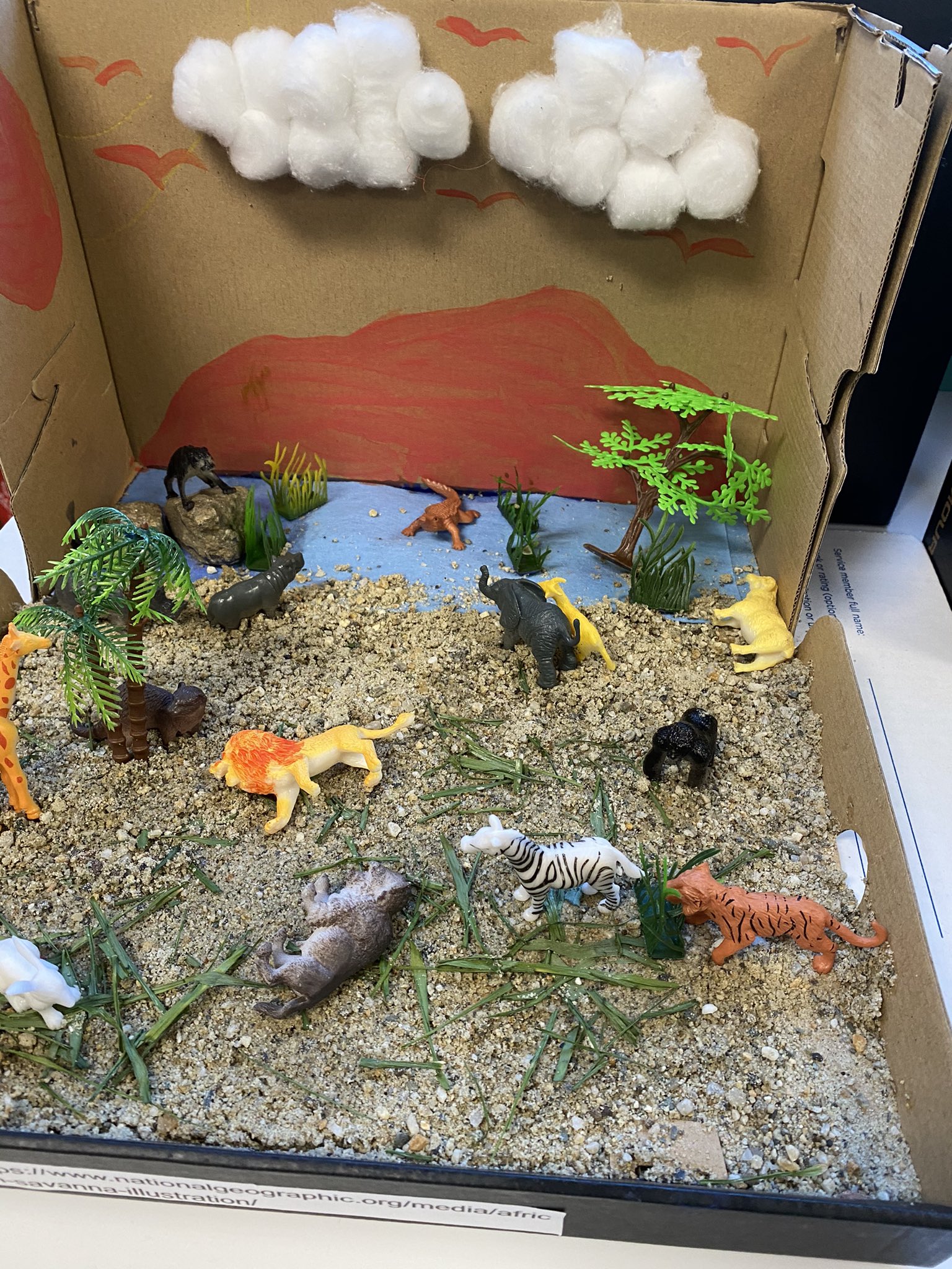 Grasslands Biome Project