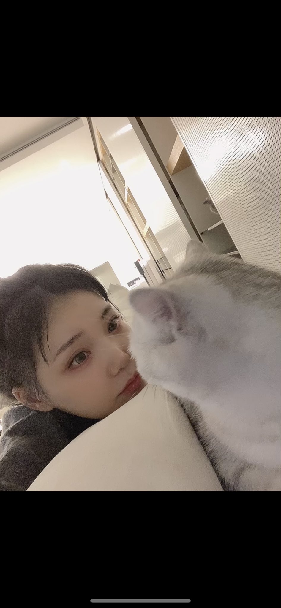 咬人猫Yaorenmao on Twitter: "短暂的假期过后，我又开始忙碌起来，做着自己喜欢的事情，一点也不觉得累! After a short vacation, I'm busy ...