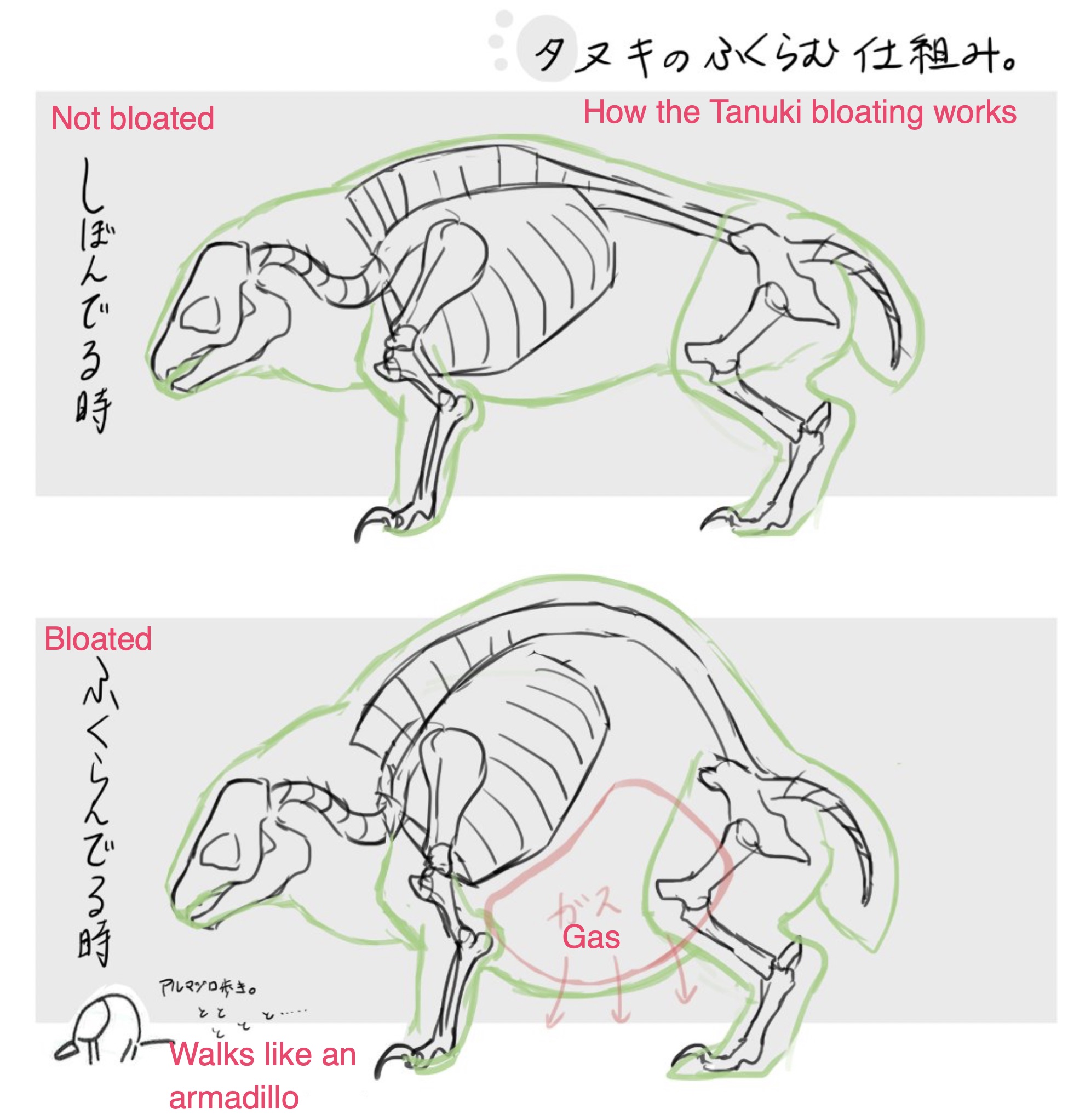 Tanuki Anatomy Shigaraki Yaki Tanuki Festival” Is Held! ｜BEAMS