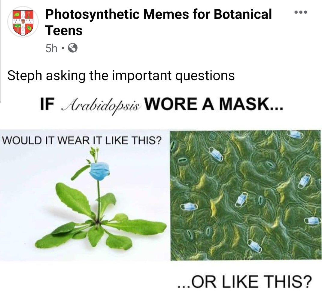 Botanist Memes