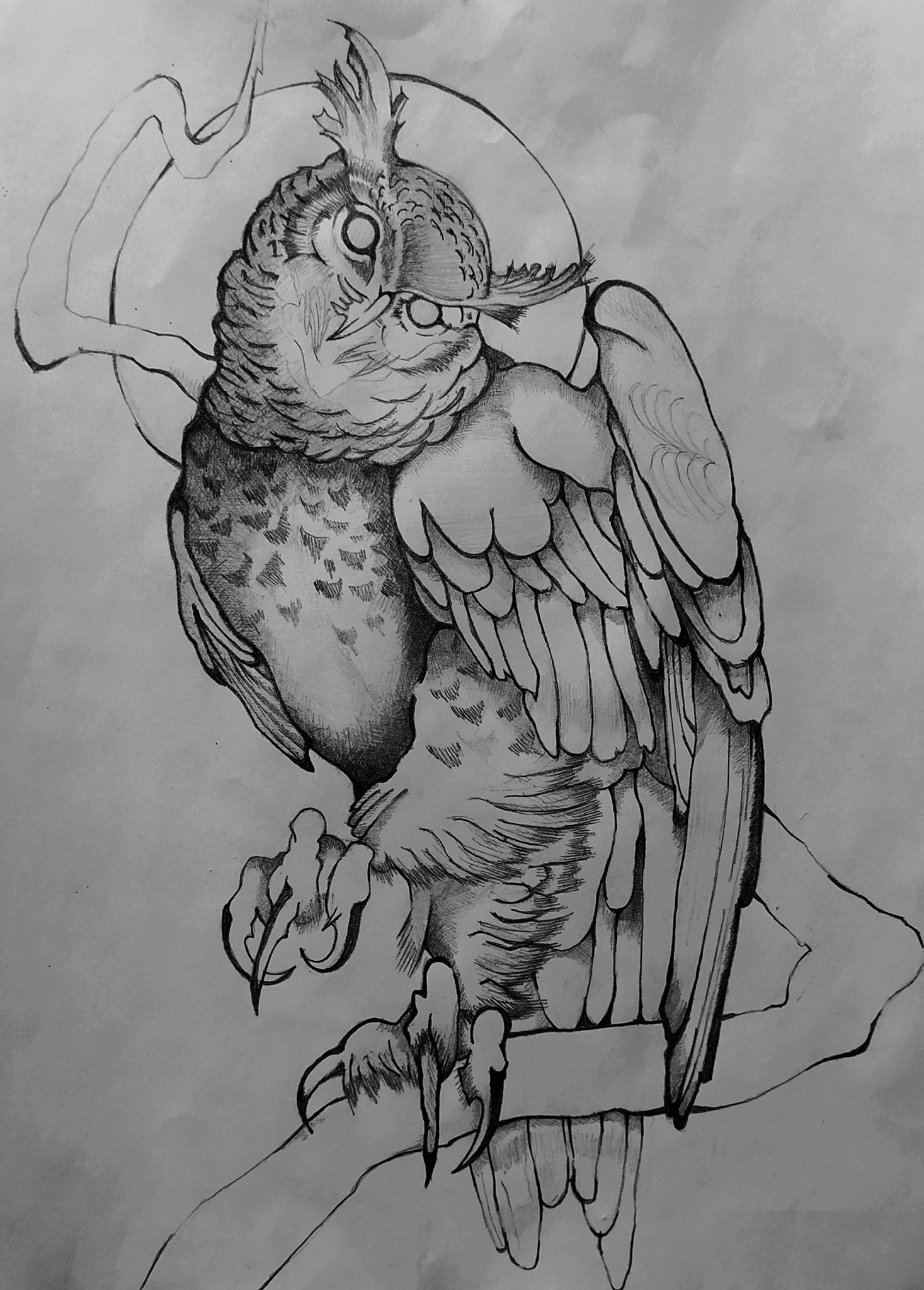 Neo Traditional Owl Outline