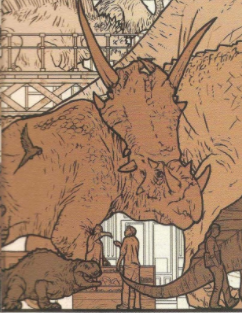 King Kong Ferrucutus