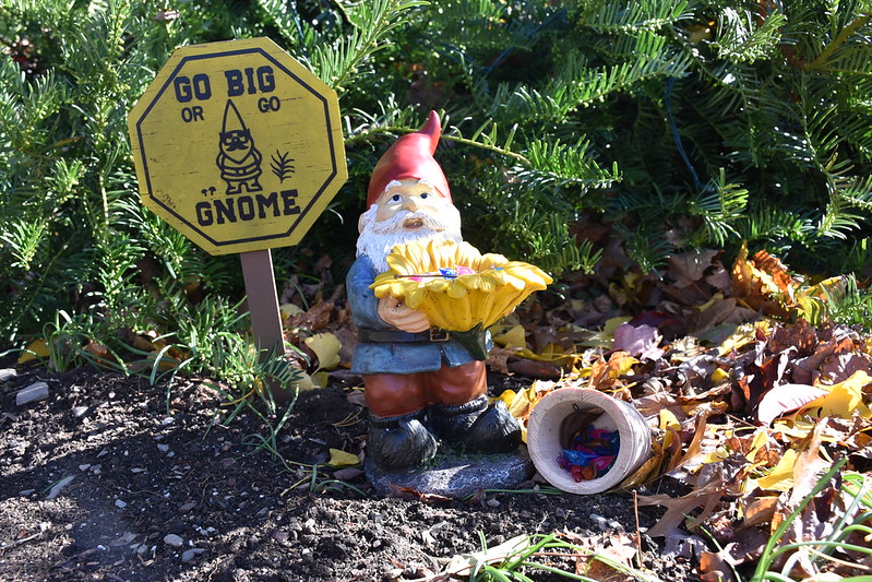 Real Gnomes Sightings