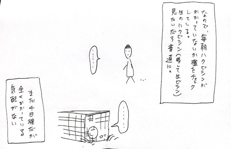 Miokoの漫画
