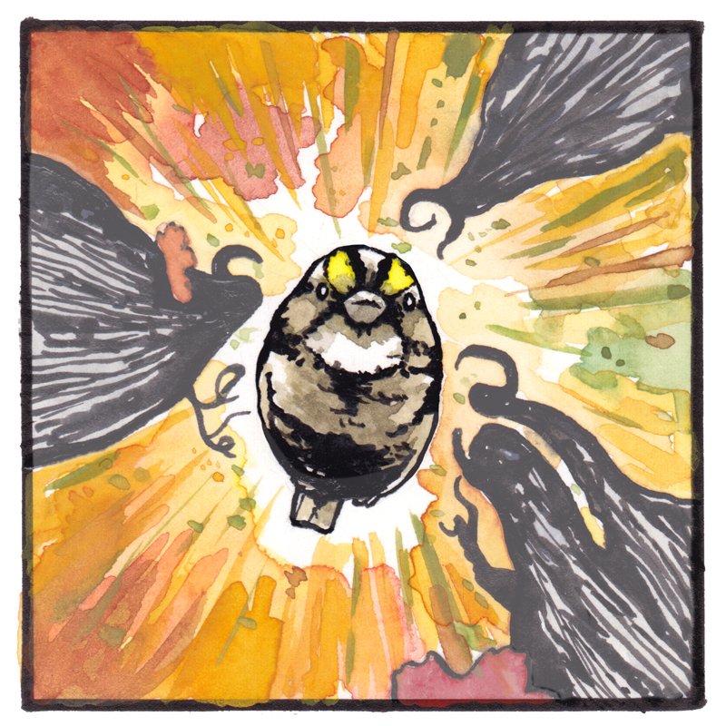 Twoucan - False Knees (@FalseKnees)