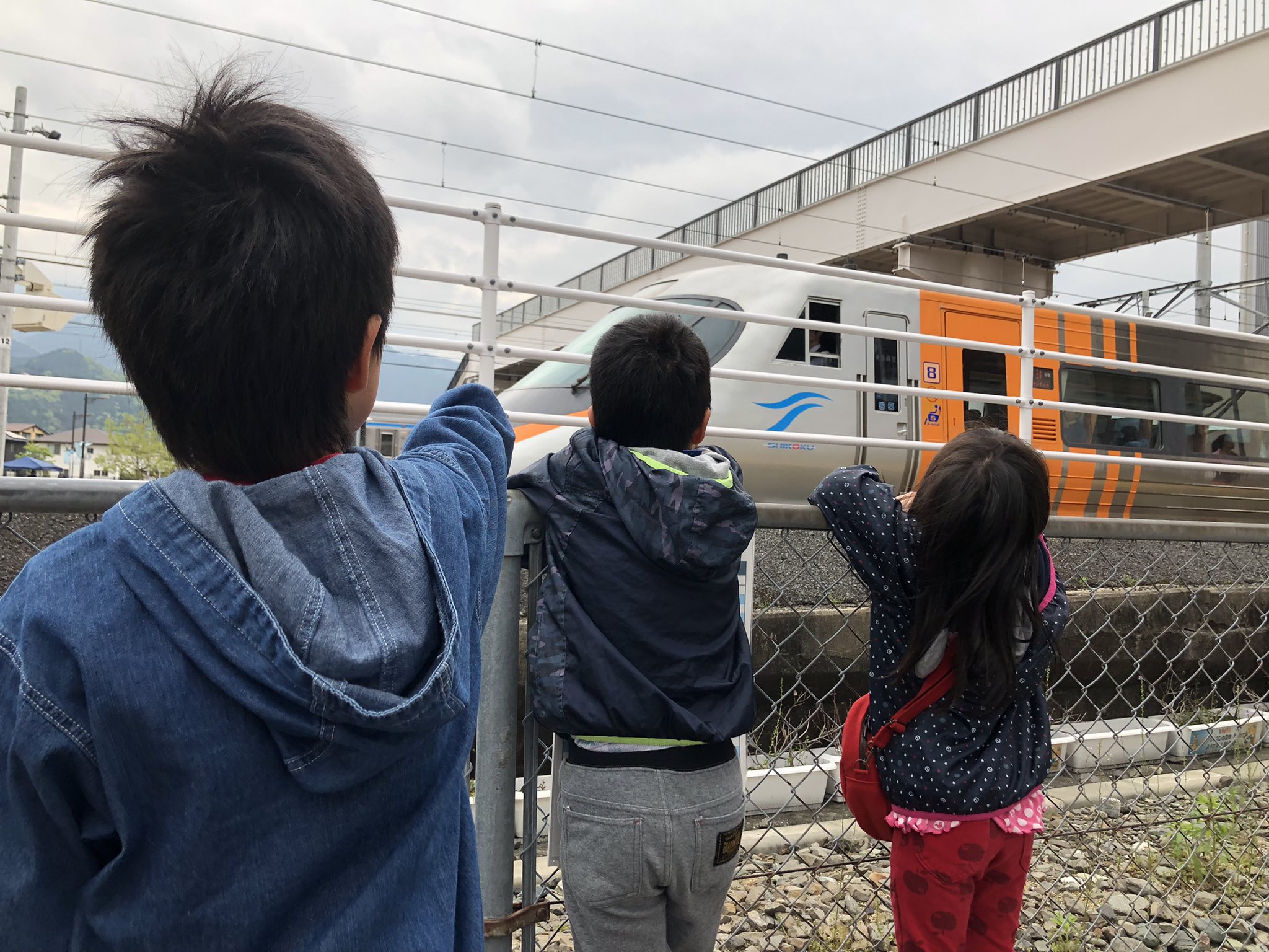 よし坊 on Twitter: "@DededesTrain 我が家は手遅れdeath ️ https://t.co/8VsMYhLTiA" / Twitter