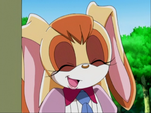 Vanilla The Rabbit Sonic X