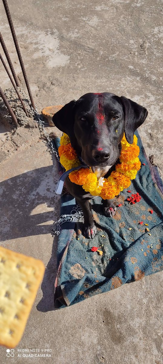 Meenabasnetacharya (@Meena_Basnet_) | Twitter