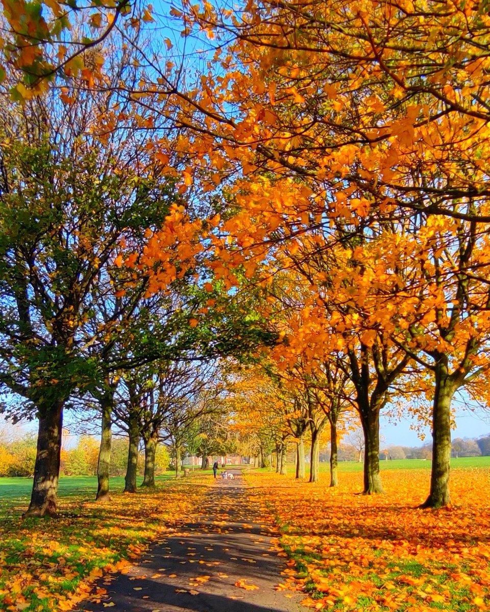 Junior Grossi (@juniorgrossi_) | Twitter