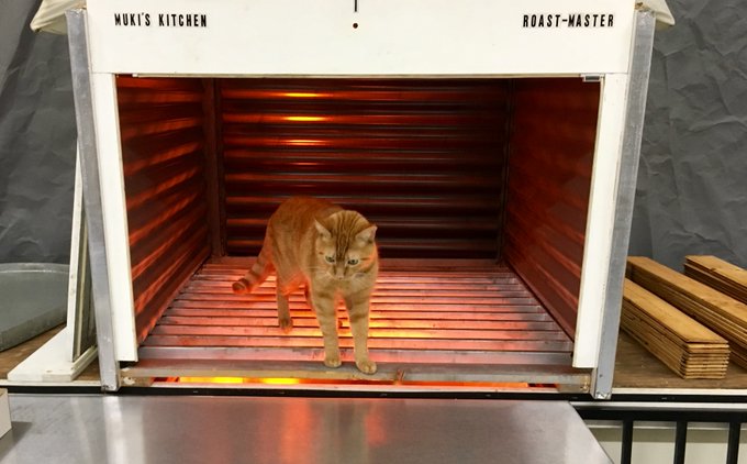 TW Pornstars - Muki's Kitchen. The latest pictures and videos from ...