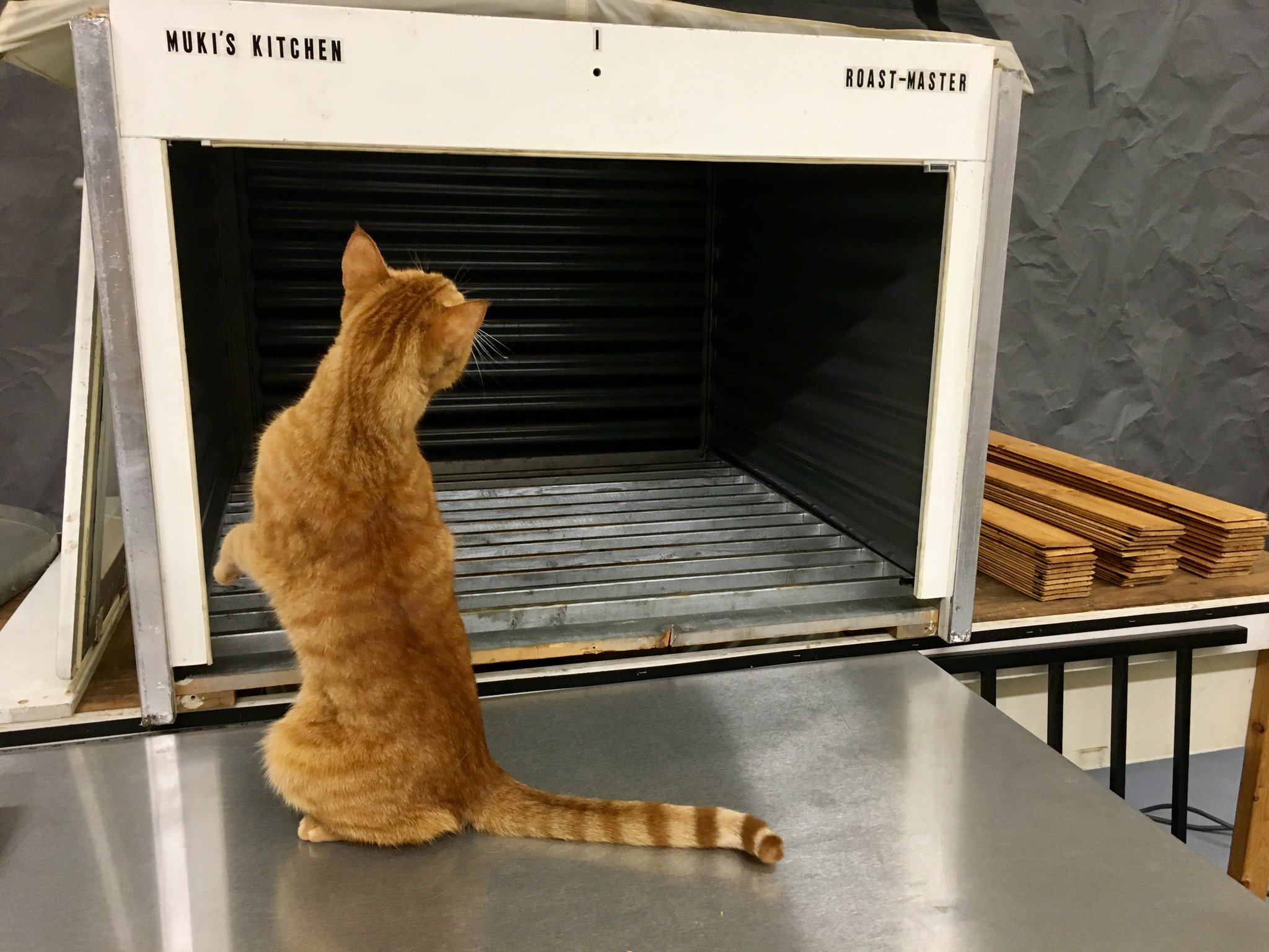 TW Pornstars - 1 pic. Muki's Kitchen. Twitter. Building a new oven set ...