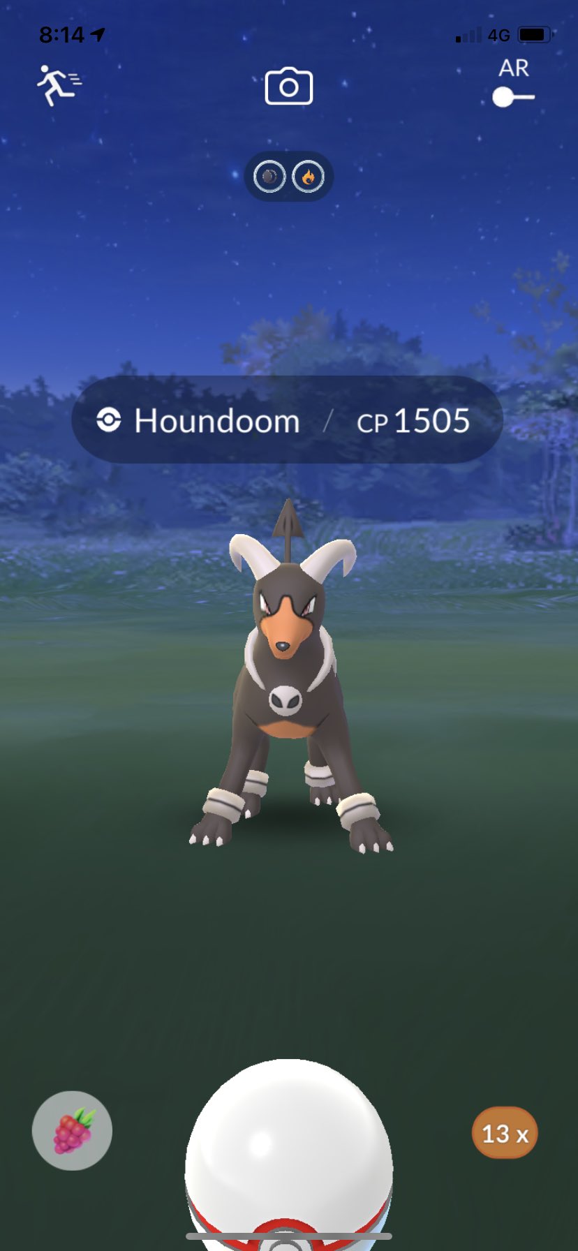 Shiny Houndour Pokemon X