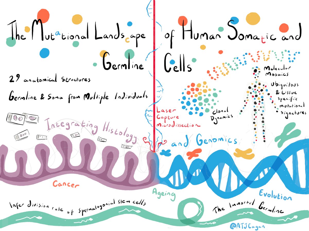 Alex Cagan's Threads – Thread Reader App