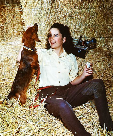 Elizabeth Taylor National Velvet