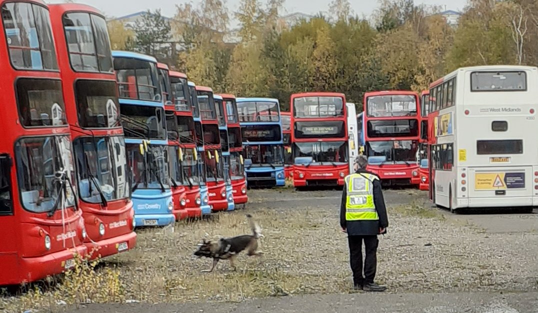 Are Dogs Allowed On West Midlands Buses