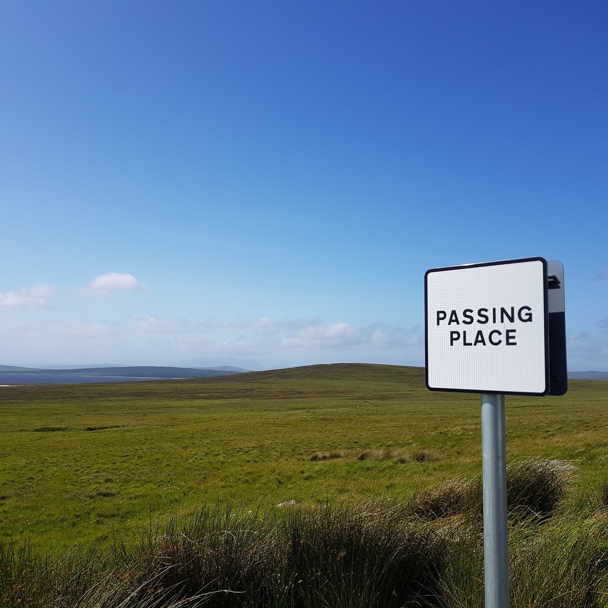 scribalstyles (@scribalstyles) | Twitter