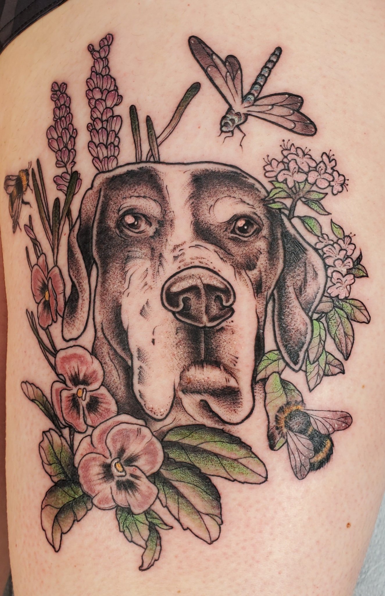 Pointer Dog Tattoos