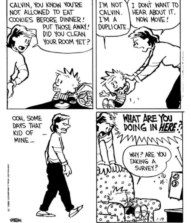 Twoucan - Calvin and Hobbes (@Calvinn_Hobbes)