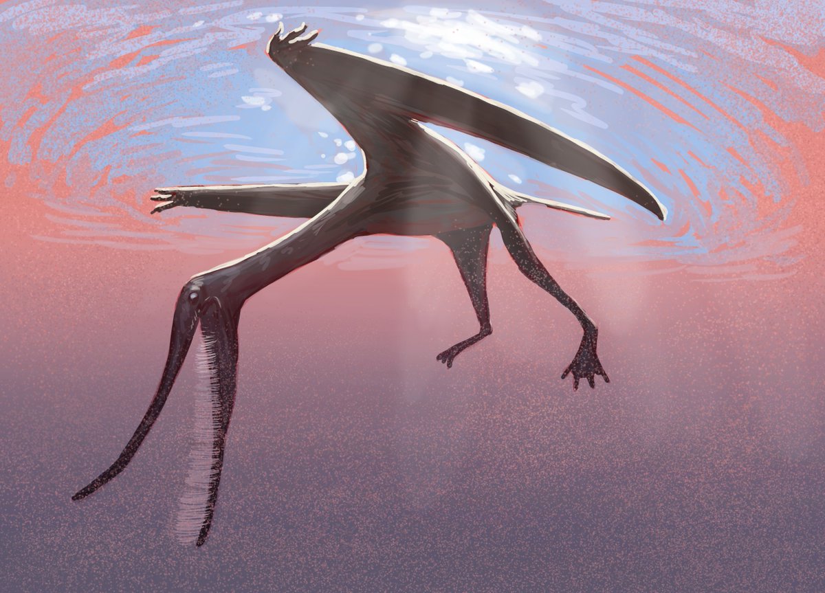 Twoucan - Joschua Knüppe (@JoschuaKnuppe)