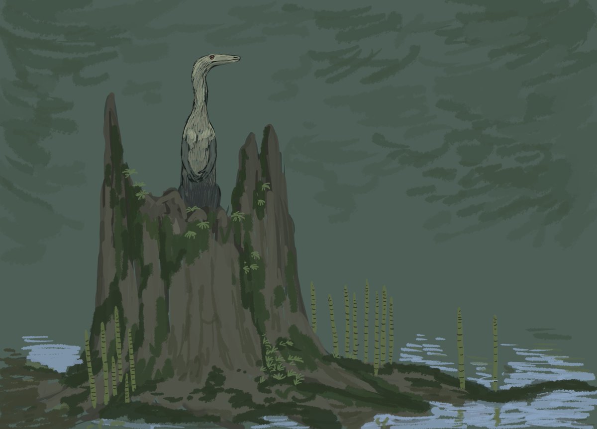 Twoucan - Joschua Knüppe (@JoschuaKnuppe)