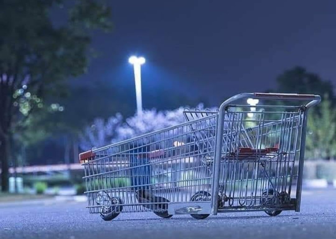 Stanced Shopping Cart