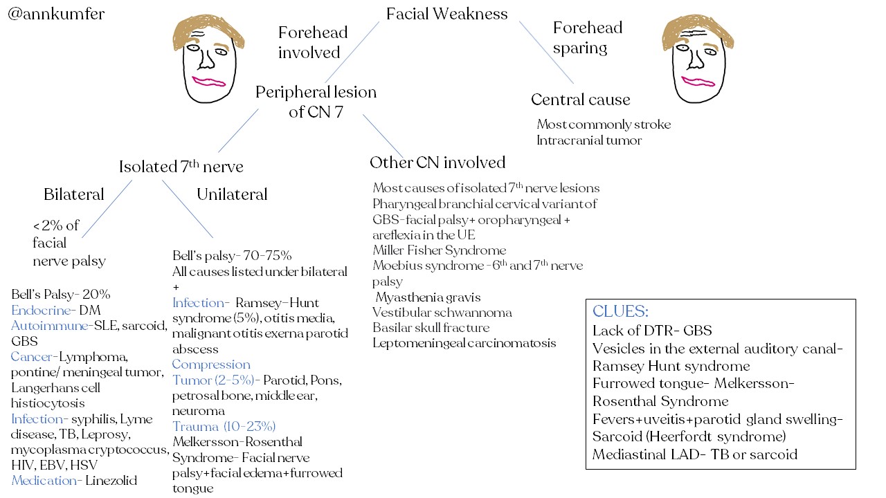 Bilateral Facial Nerve Palsy