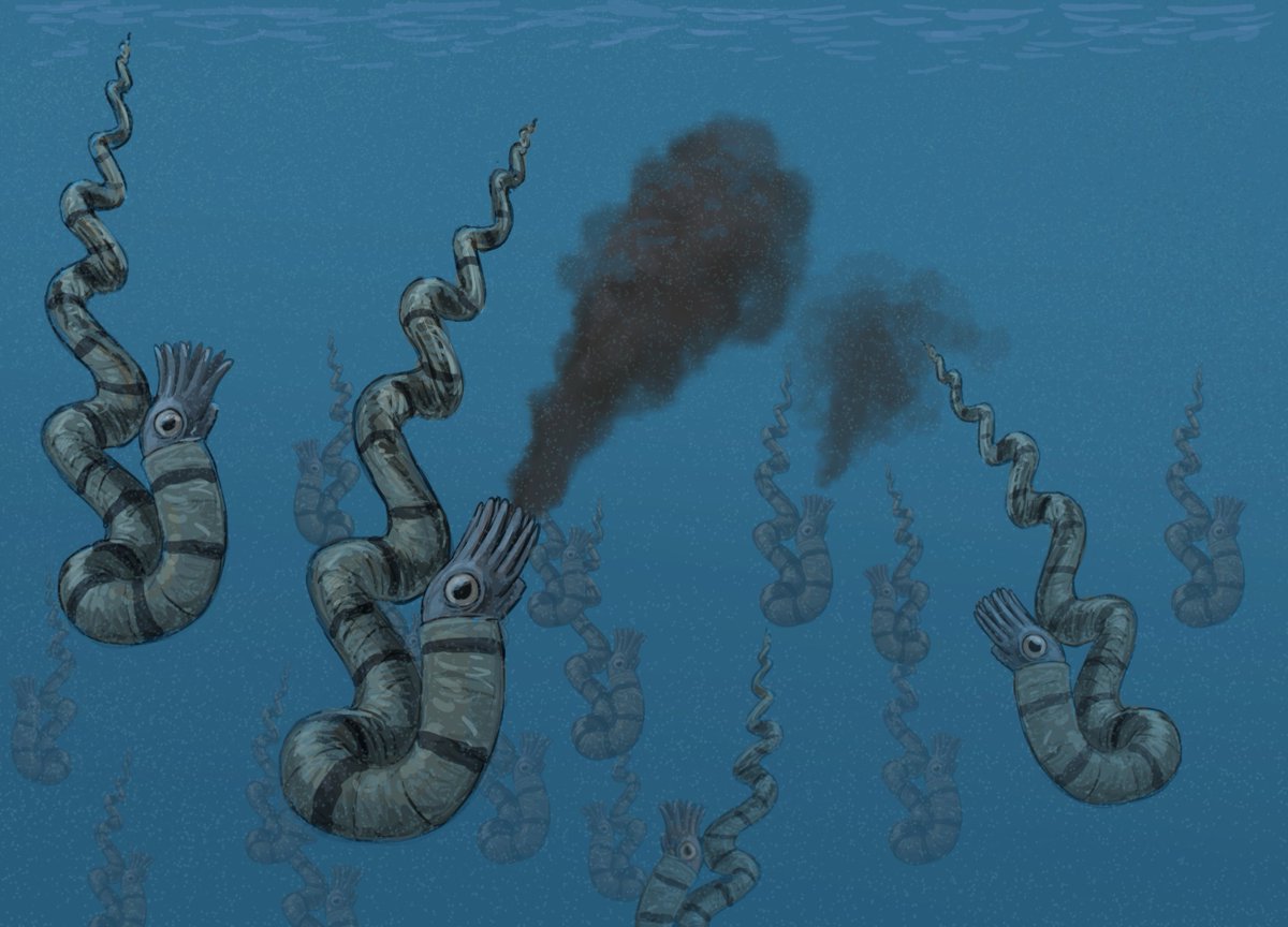 Twoucan - Joschua Knüppe (@JoschuaKnuppe)