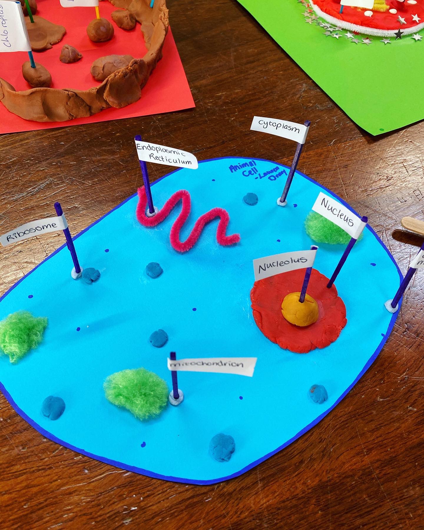 Clay Animal Cell Project