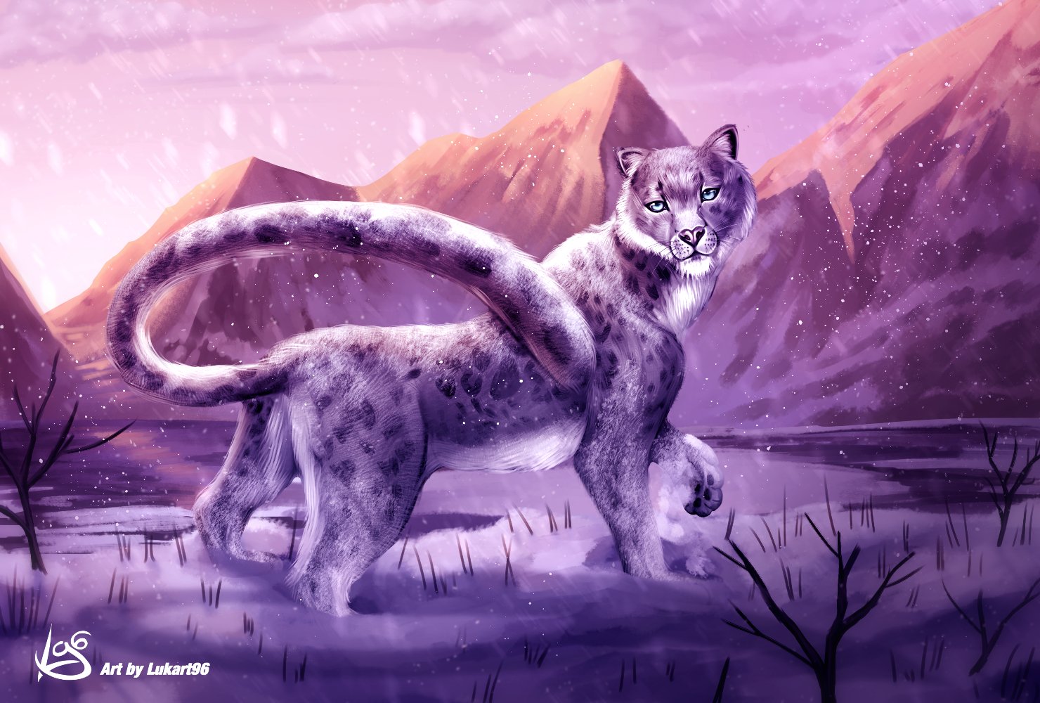 Snow Leopard Art