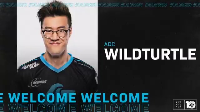 Wildturtle Meme