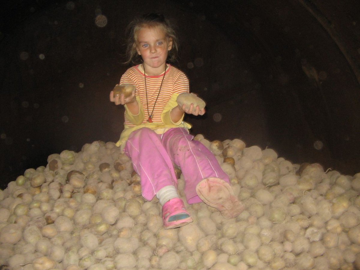 batyanya wombat on Twitter: "картошка ван лав!…