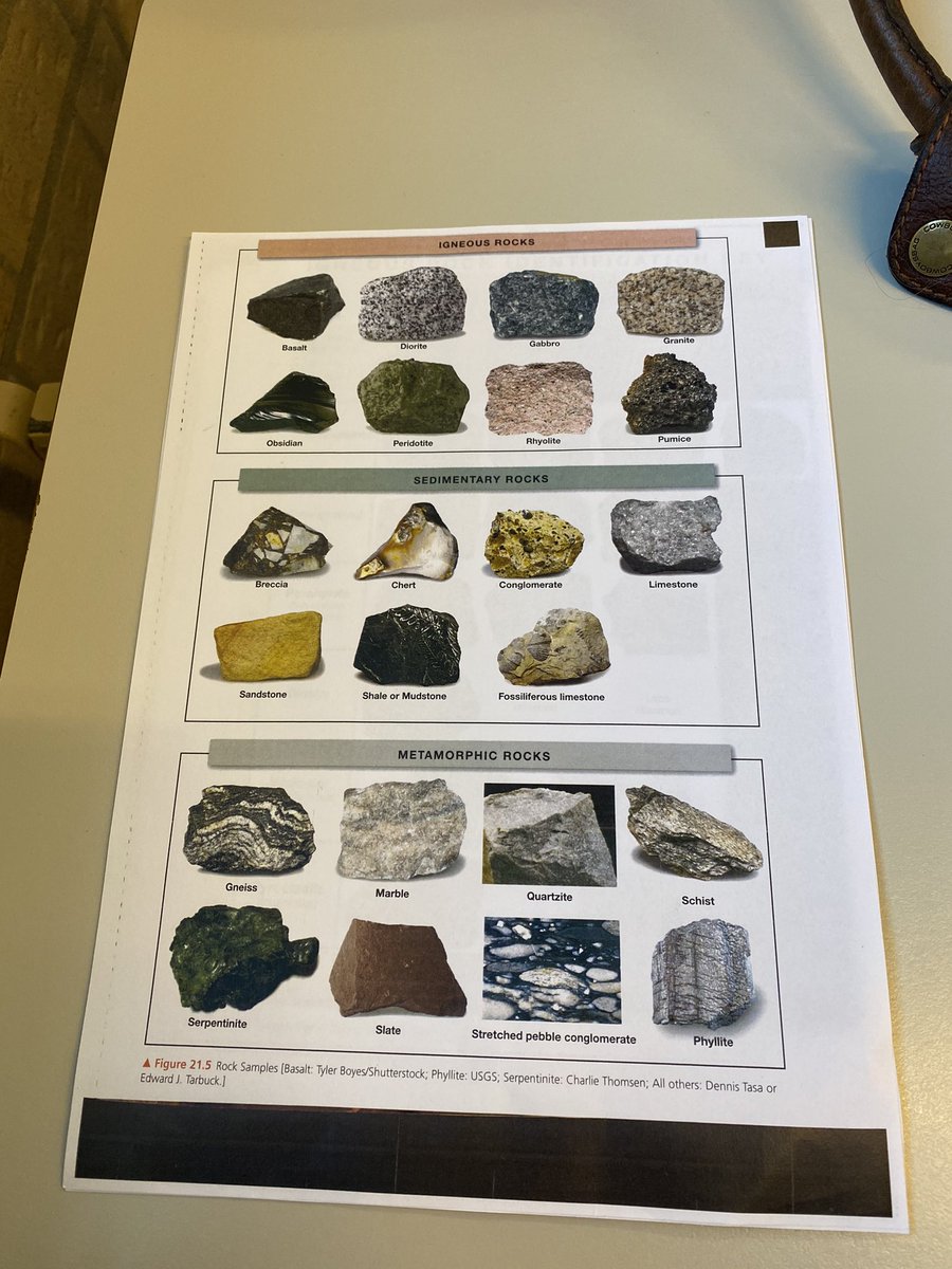 Capri (@BaakCapri) | Twitter