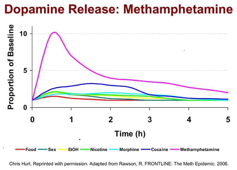 Alcohol, Drugs, & Exercise : r/HubermanLab