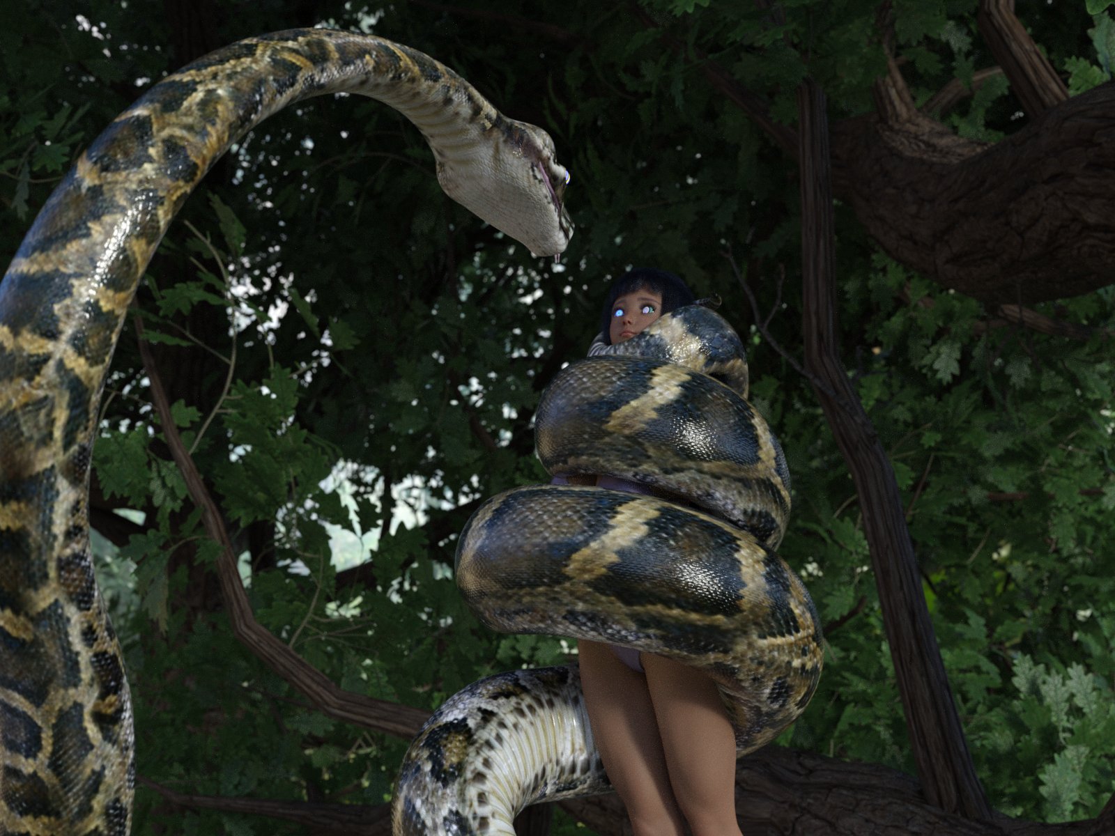 Jungle Girl Python Gorgogorgo